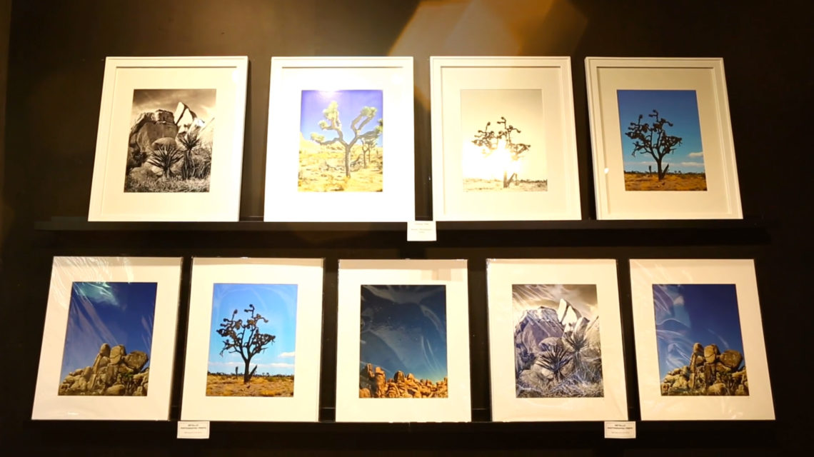 Home - Michael Weems Collection